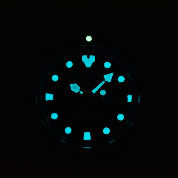Citizen Promaster NY0085-86E Fugu Automatic Men Black Dial Stainless ...
