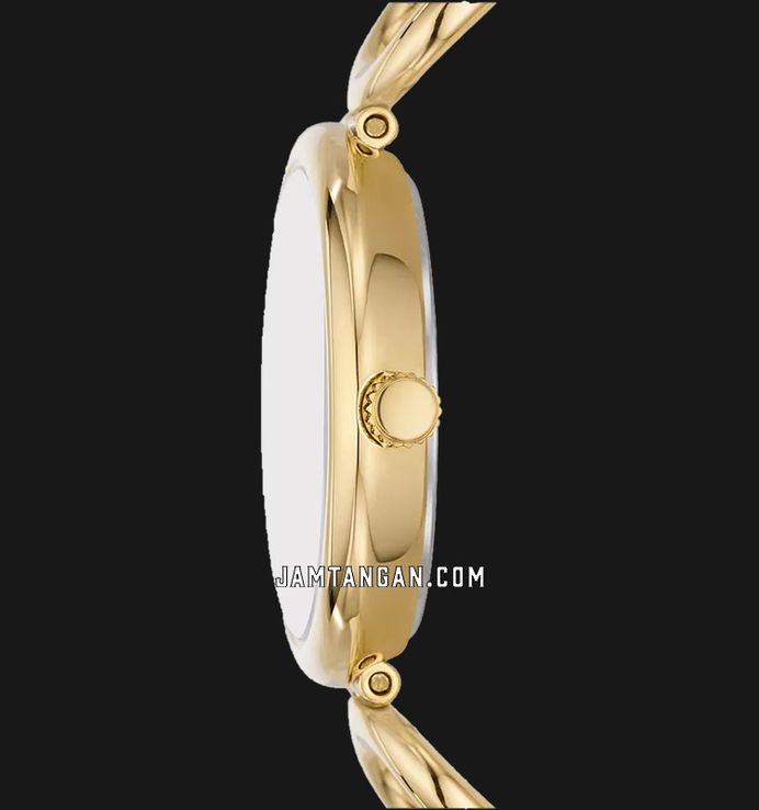 Fossil Carlie ES5272 Ladies Silver Dial Gold Stainless Steel Strap ...