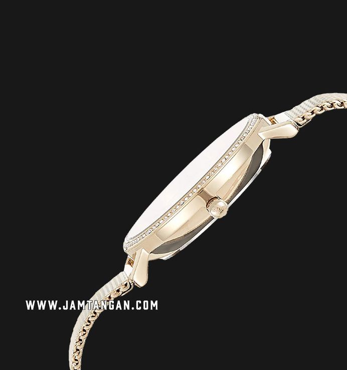 Hugo Boss Infinity 1502520 Ladies Gold Dial Gold Mesh Strap | Jamtangan.com