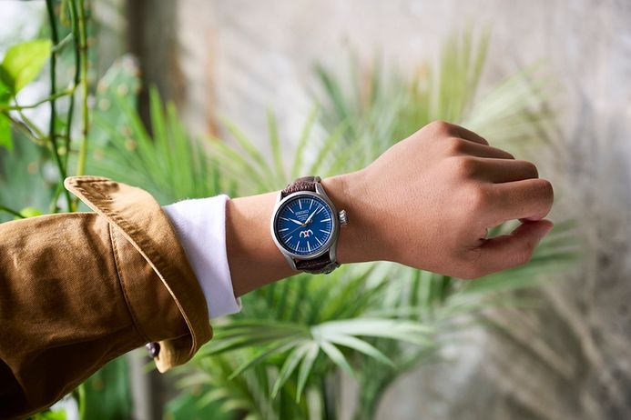 Seiko Presage SPB437J1 Studio Ghibli Nausicaä of the Valley Of The Wind ...