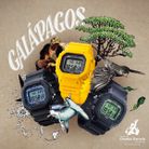 Casio G-Shock GW-B5600CD-1A2 GW-B5600CD-1A2DR Charles Darwin Foundation ...