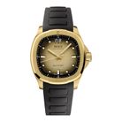 MIDO Multifort TV Big Date M049.526.33.021.00 Champagne Dial Gold St ...